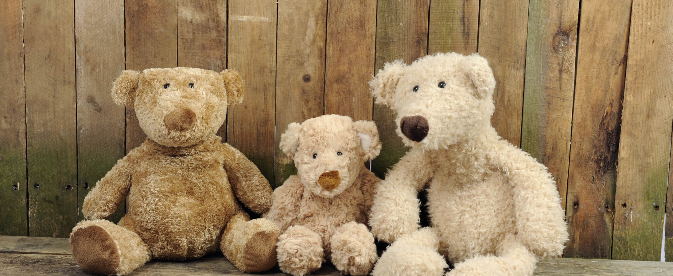 National Teddy Bear Day (September 9th) | Days Of The Year