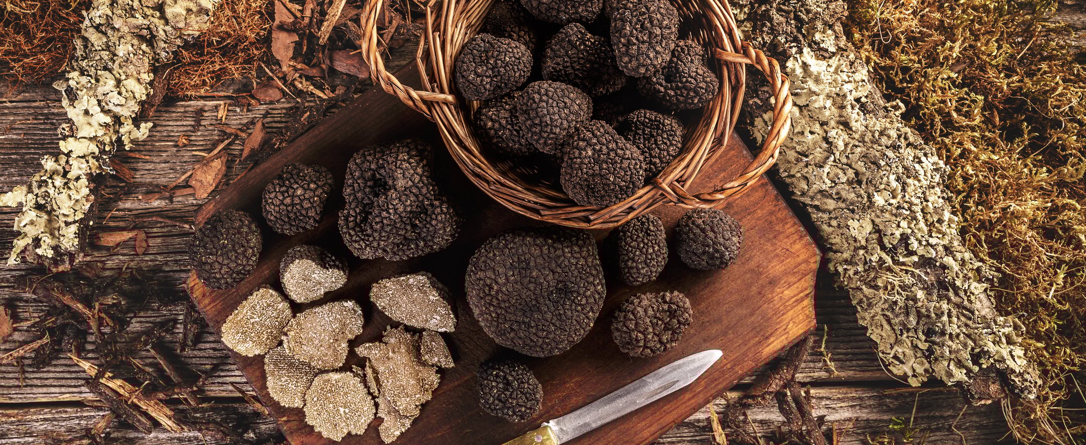 Truffle Days in Croatia (Oct 4th to Nov 2nd) | Days Of The Year