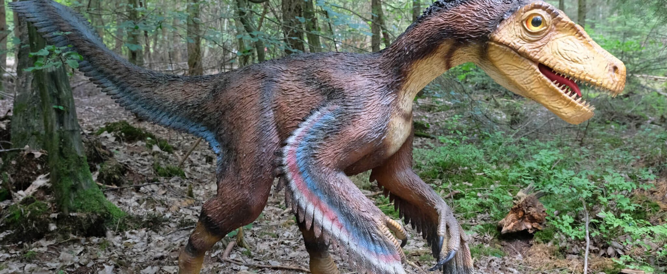 National Velociraptor Awareness Day (April 18th) | Days Of The Year