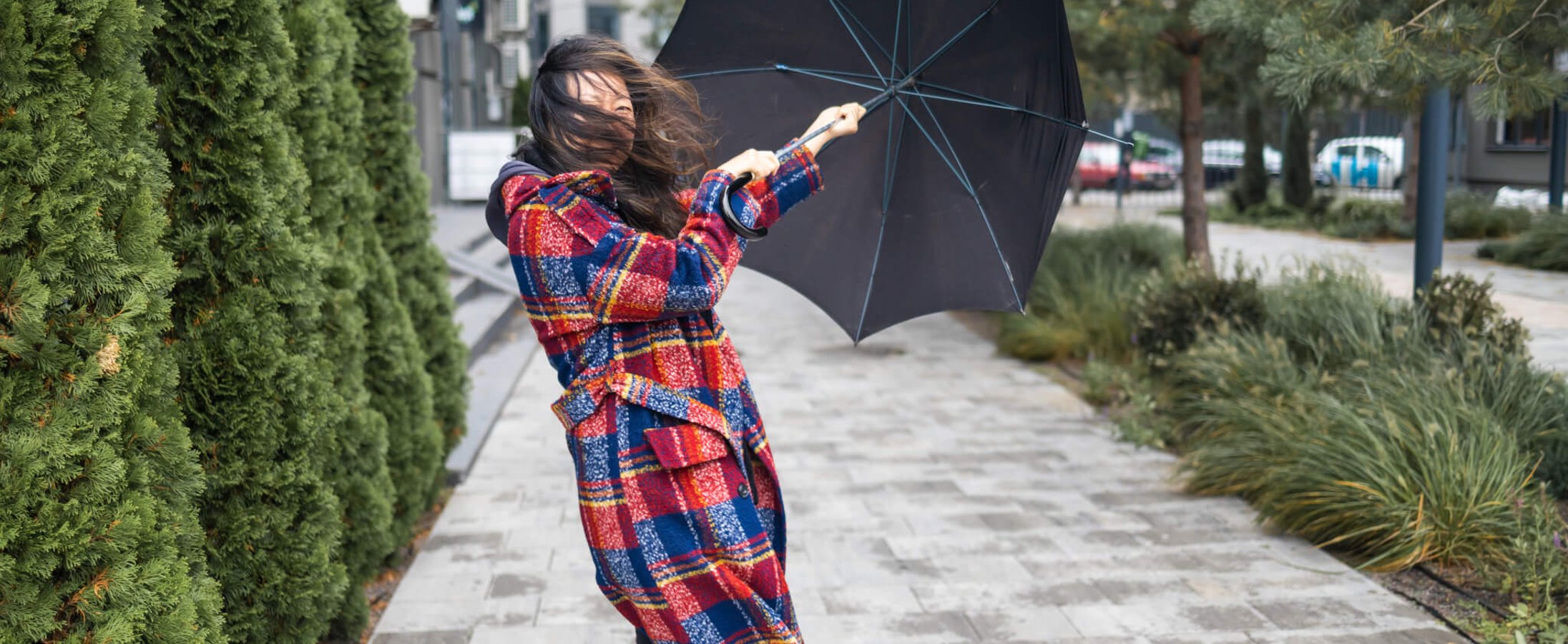 National Big Wind Day (April 12th) | Days Of The Year