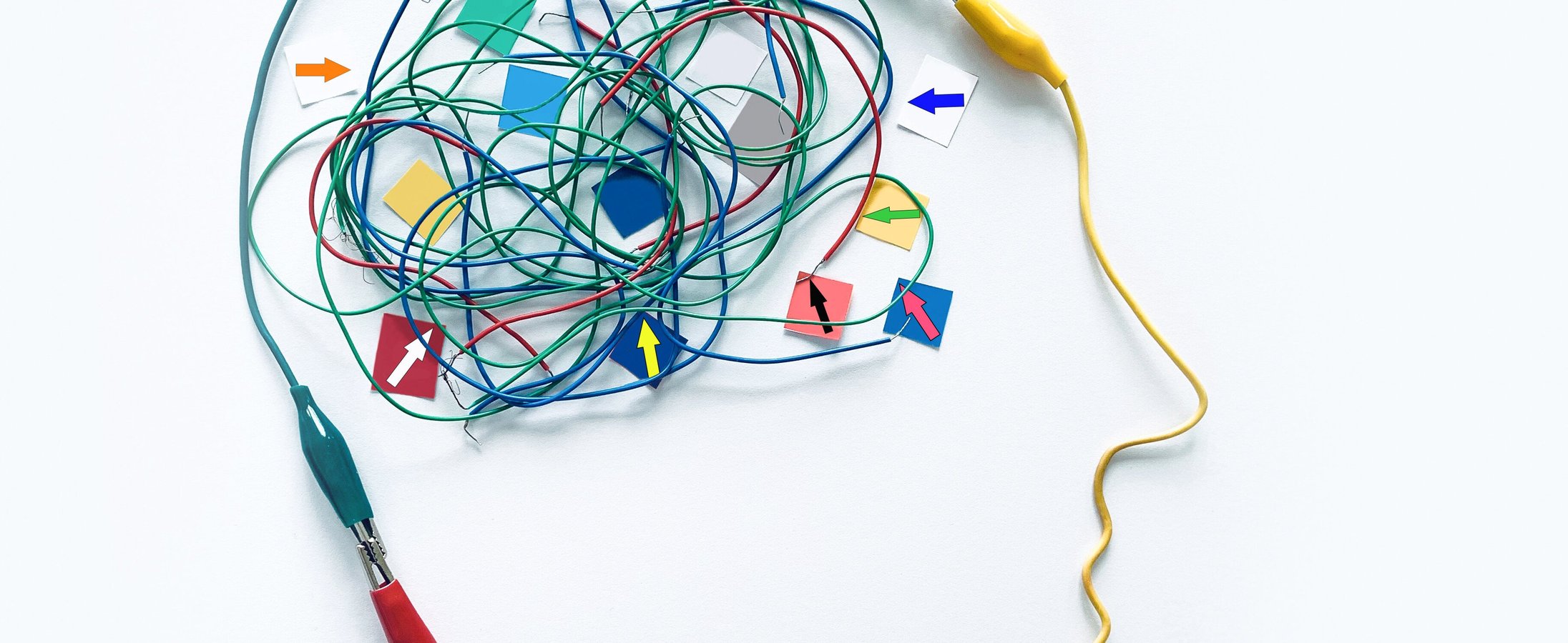 World Behavior Analysis Day March 20th Days Of The Year