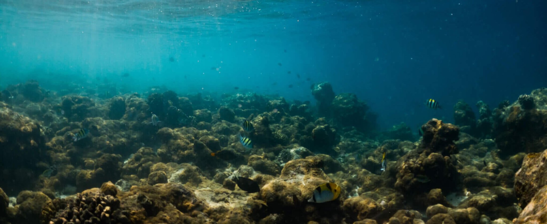 World Hydrography Day (June 21st) | Days Of The Year