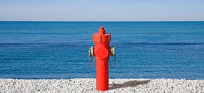 National Pack Rat Day (May 17th) | Days Of The Year