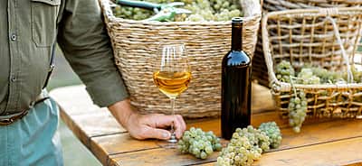 National Lucky Penny Day (May 23rd) | Days Of The Year