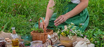 International Bat Appreciation Day (April 17th) | Days Of The Year