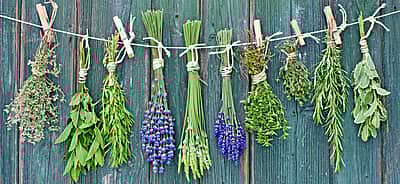 Individual Rights Day (August 29th) | Days Of The Year