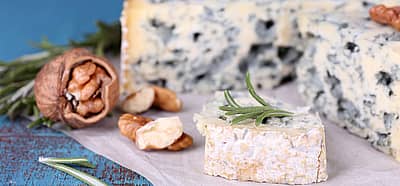 National Moldy Cheese Day (October 9th) | Days Of The Year