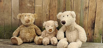 National Teddy Bear Day (September 9th) | Days Of The Year