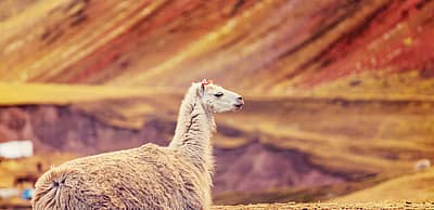 National Holidays on December 9th, 2022 | Days Of The Year