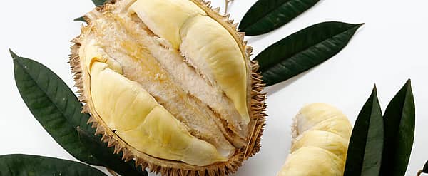 Durian Fruit Day (July 9th) | Days Of The Year