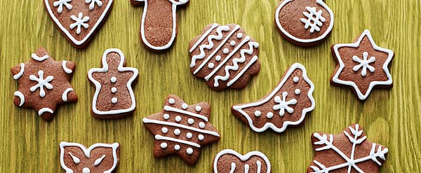 Gingerbread Decorating Day (December 14th, 2024) | Days Of The Year