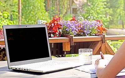 National Pack Rat Day (May 17th) – Days Of The Year