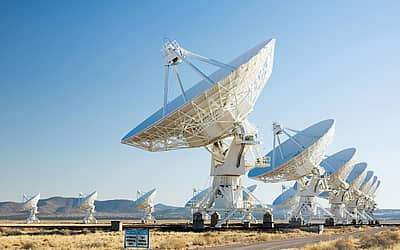 National Pack Rat Day (May 17th) | Days Of The Year