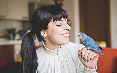 National Bird Day (January 5th) – Days Of The Year