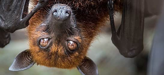 National Holidays on October 28th, 2024 | Days Of The Year