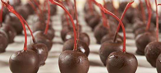 National Chocolate Covered Raisin Day (March 24th) | Days Of The Year