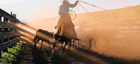 Take Your Houseplant For A Walk Day (July 27th) | Days Of The Year
