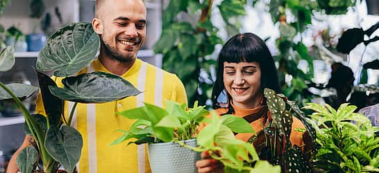 International Nurses Day (May 12th) | Days Of The Year