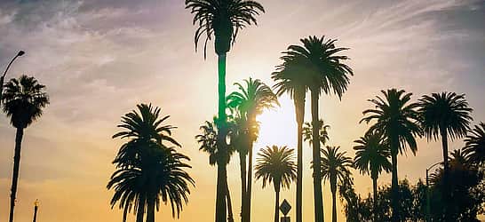 National Holidays on February 22nd, 2024 | Days Of The Year