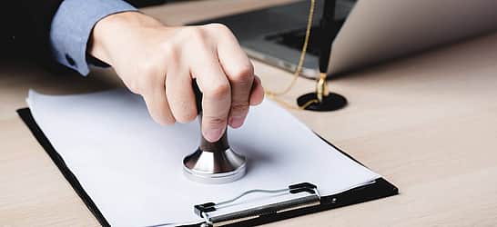 National Hug A Bear Day (November 7th) | Days Of The Year