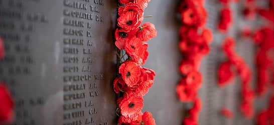 Area Code Day (November 10th) | Days Of The Year