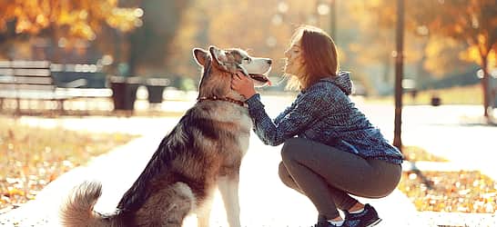 National Quiet Day (September 11th, 2024) | Days Of The Year