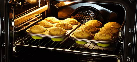 National May Ray Day (May 19th) | Days Of The Year