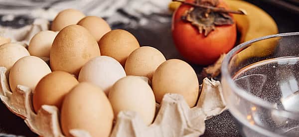 World Egg Day (October 11th, 2024) | Days Of The Year