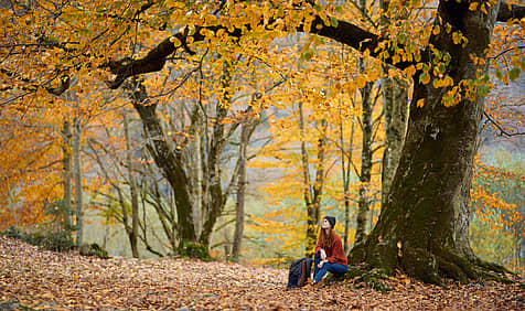 National Holidays on September 22nd, 2024 | Days Of The Year