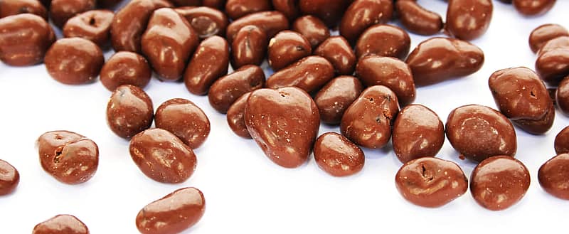 National Chocolate Covered Raisin Day (March 24th) | Days Of The Year