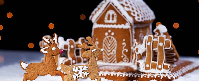 Gingerbread House Day (December 12th) | Days Of The Year