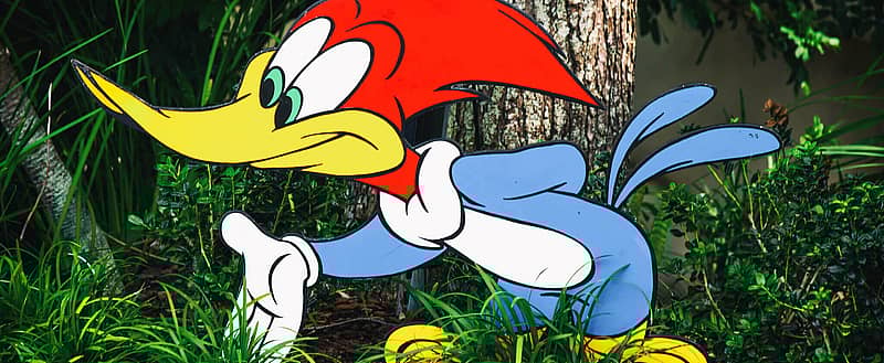 Woody Woodpecker Day (April 27th) | Days Of The Year