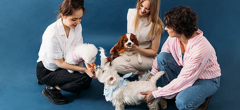 Go For A Ride Day (November 22nd) | Days Of The Year