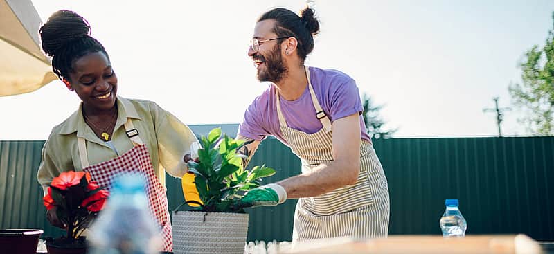 Gingerbread Decorating Day (December 14th, 2024) | Days Of The Year