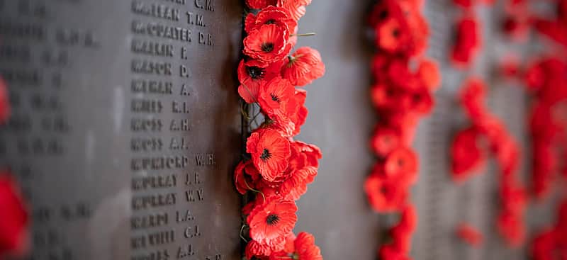 Area Code Day (November 10th) | Days Of The Year