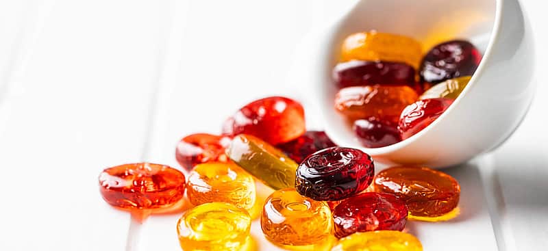 Look for an Evergreen Day (December 19th) | Days Of The Year