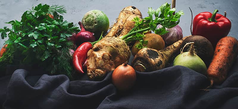 World Vegan Month (November 2024) | Days Of The Year