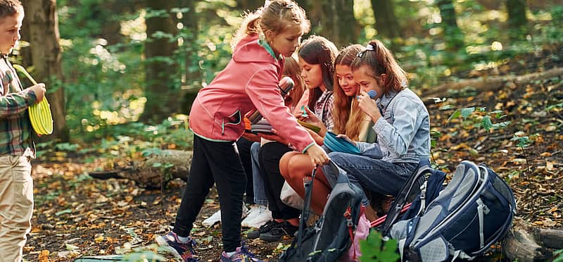 National Camp Day (November 19th) | Days Of The Year