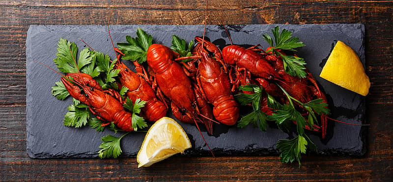 National Lobster Day (June 15th) | Days Of The Year