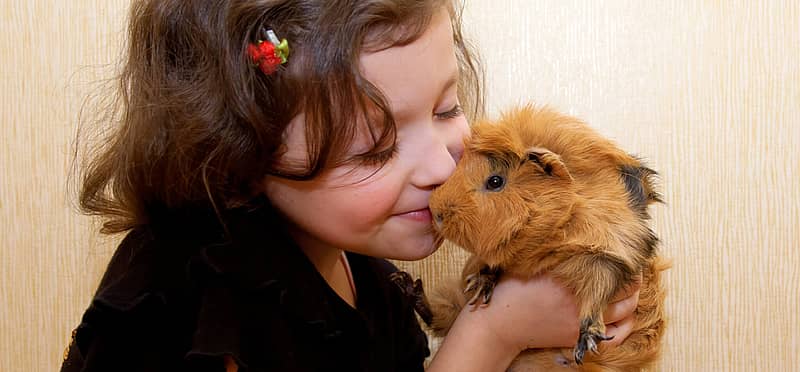 National Love Your Pet Day (February 20th) | Days Of The Year