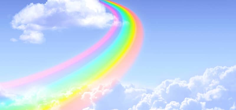 Rainbow Bridge Remembrance Day (August 28th) | Days Of The Year