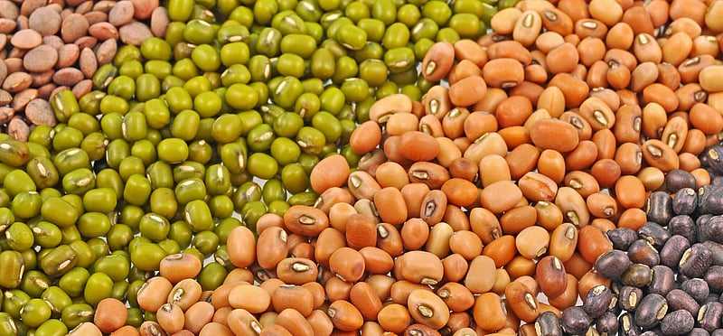 International Year of Pulses (2016) | Days Of The Year