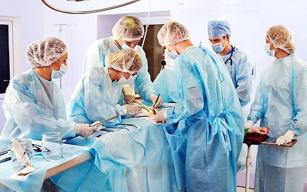 National Pickle Day (November 14th) | Days Of The Year