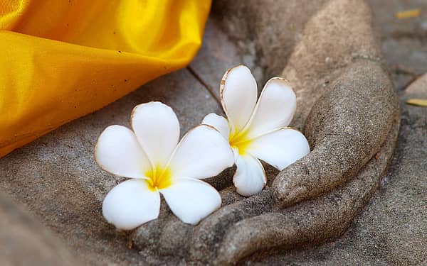 Psychic Day (August 7th, 2022) – Days Of The Year