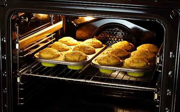 National Pack Rat Day (May 17th) – Days Of The Year