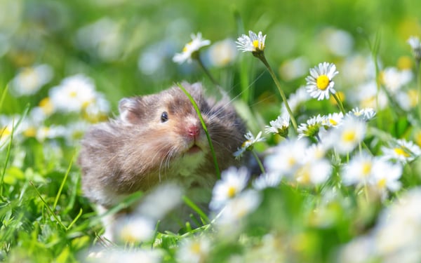 Deskfast Day (April 12th) – Days Of The Year