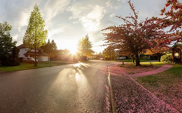 Zero Tasking Day (November 3rd, 2024) | Days Of The Year