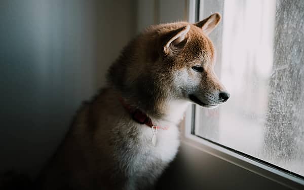 National Mud Pack Day (September 30th) | Days Of The Year