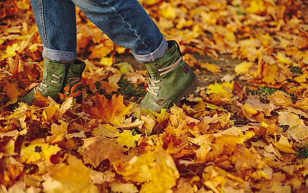 National Take a Walk in the Park Day (March 30th) | Days Of The Year