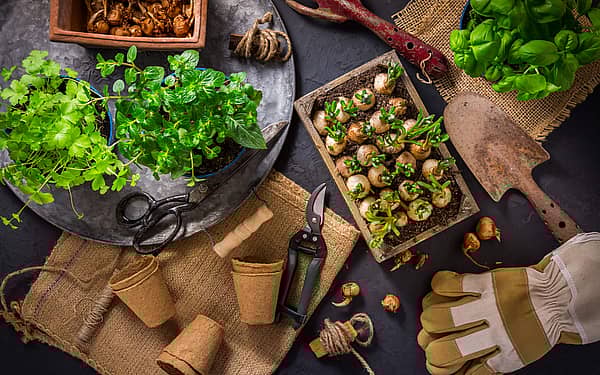 National Look Up at the Sky Day (April 14th) | Days Of The Year